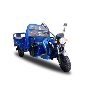 Torito Carga 1000 Kg Homologado Motor Eléctrico 1500W - Pegasobike